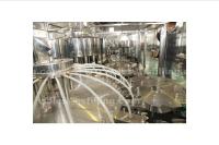 China CGF Series 3 in 1 Mineral Water Bottling Machine 6000-8000 BPH Washing Filling Capping Monobloc for sale