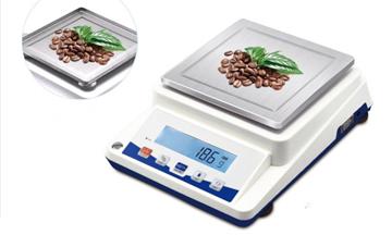China Dual Display Precision Balance With Large Size Stainless Steel Pan for sale