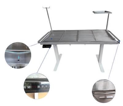China Intelligent Control Pet Operating Table I-Type Electric Lift Operating Table for sale