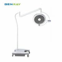 China Stand Mobile  Endo ENT Dental GNY Veterinary Surgery LED Operating Lamp Exam Lamp for sale