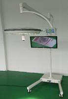 China Stand Mobile  Endo ENT Dental GNY Veterinary Surgery LED Operating Lamp Exam Lamp for sale