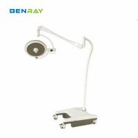 China Medical Ceiling Type ENT Dental Veterinary Surgery LED Hospital Operating Lamp for sale