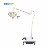 China Medical Ceiling Type ENT Dental Veterinary Surgery LED Hospital Operating Lamp for sale
