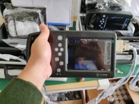 China Handheld veterinary ultrasound scanner for sale