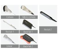 China Portable Veterinary Ultrasound Scanner for sale