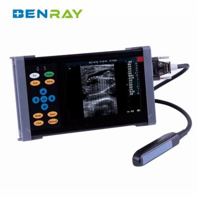 China Portable veterinary ultrasound scanner for sale