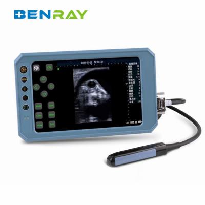 China Portable Veterinary Ultrasound Scanner Touch Screen for sale