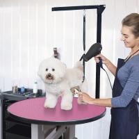 China Vet Pet Grooming Table Pet Animal Beauty Grooming Station for sale