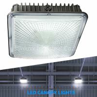 China 120LM/W 45 Watt LED Canopy Lights 5000K Surface Mount Type For Corridor Lighting for sale