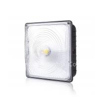 China 120LM/W 45 Watt LED Canopy Lights 5000K Surface Mount Type For Corridor Lighting for sale