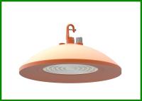 China Orange Color 100W Industrial Warehouse Led Lighting High Lumen IP69K 5 Years Warranty for sale