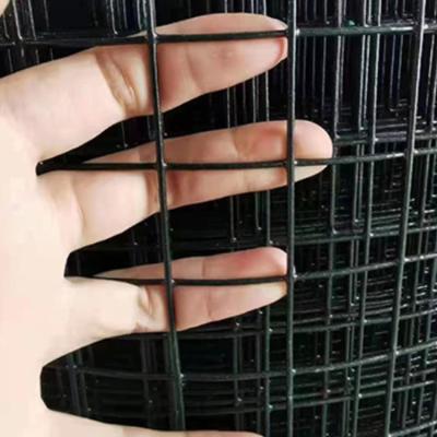 China 2x2 Square Hole Pvc Welded Wire Mesh Roll For Garden Fence Widely Used In Various Industries for sale
