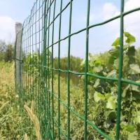 China Hot-dipped Galvanized Welded Wire Mesh Panel Fencing With PVC Coating for sale