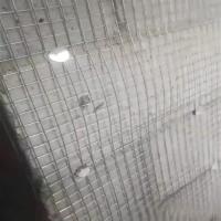 China Building Manufactured Steel Concrete Welded Wire Mesh 6 X 6 Durable for sale