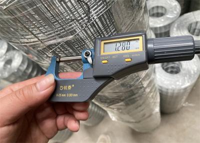 China Hot Dipped Galvanized 1/2inch Pvc Coated Welded Wire Mesh Zinc Coating 120g/M2 for sale