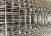China 1/2 Inch Square Galvanised Welded Wire Mesh Roll For Garden Fence for sale