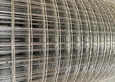 China 1/2 Inch Square Galvanised Welded Wire Mesh Roll For Garden Fence for sale