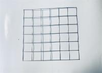 China 8x8 Welded Wire Mesh Hot Dipped And Electric Galvanized for sale