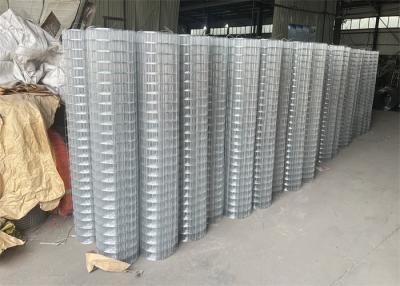 China Agricultural Breeding 1.2mm-4mm Galvanized Steel Mesh Roll For Tensile Strength 350n 550n/M2 for sale
