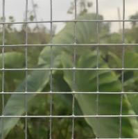 China 1 Inch Hot Dipped Galvanised Welded Mesh Animal Protection Fence for sale