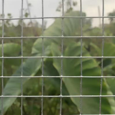 China 1 Inch Hot Dipped Galvanised Welded Mesh Animal Protection Fence for sale