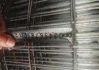 China New Product Welded Wire Mesh Fence 4x4 11 Gauge for sale