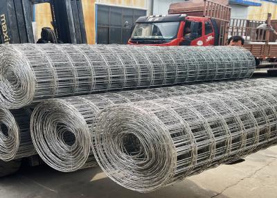 China Galvanised Mesh Roll For Rabbit And Chicken Netting 30m 50m Length for sale