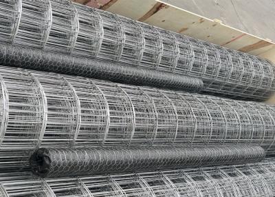 China 0.25 Inch Hot Dipped Welded Wire Mesh 1/4 Inch Hardware Cloth Anti Corrosion for sale