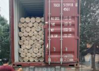China Hot Dipped Galvanized Concrete Mesh For Building Slabs for sale