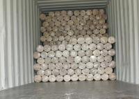 China Building Manufactured Steel Concrete Welded Wire Mesh 6 X 6 Durable for sale