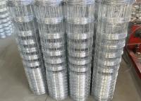 China 3.0mm 2.5mm Farm Mesh Fence Wire Galvanized 6ft Welded Wire Horse Fence for sale