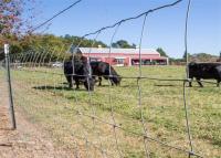 China 5 Ft Field Fence 330 Ft Raise Cattle On Farms And Grasslands Serve As Barrier For Deer And Wildlife for sale