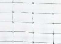 China 100m Roll Galvanized Wire Mesh Hinge Joint Knotted Horse Fence For Cattle Farm Field Zinc Coating 40g Per Square Meter for sale