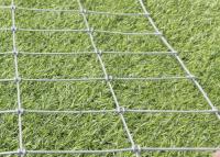 China High Tensile Fixed Knot Woven Wire Mesh Horse Fence 1.8mm-3.0mm Wire Diameter Galvanized for sale