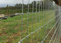 China Heavy Duty Galvanized Horse Mesh Fence 3ft-8ft Height S Knot Corrosion Resistance for sale