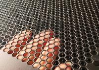 China Metal Perforated Sheet Various Hole Arrangements Stainless Steel Aluminum Galvanized ISO Certified for sale