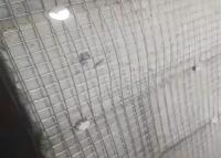 China Building Welded Wire Mesh for Mining Industry- Even Mesh Count- for sale