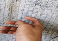 China 10 gauge Galvanized Wire Mesh Stable Construction Welded Mesh for Building Projects for sale