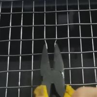 China Galvanized Before Welding Anti-skid Concrete Welded Wire Mesh Ready To Ship for sale
