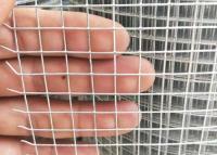 China Hot Dipped Galvanized Iron Wire Mesh 1/2 Inch Welded Wire Mesh Fence Roll for sale