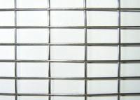 China Hot Dipped Galvanized Welded Wire Mesh Roll For Garden Or Fence Protection for sale