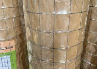 China Free Sample Galvanized Welded Wire Mesh Roll For Protection And Decoration for sale