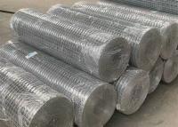 China Durable 201/SS304/SS316 Welded Wire Mesh Stainless Steel Cage Poultry Net 1''x 1'' 1''x1/2 for sale