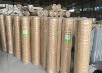 China Hot Dipped Galvanized Iron Welded Wire Mesh Best Choice for Farm Fence Construction for sale