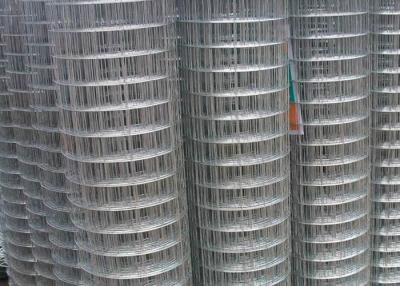 China Hot Dipped Galvanized Welded Wire Mesh 10-30m Length Per Roll For Farm Fence for sale