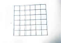 China Hot Dipped Galvanized Welded Wire Mesh Roll For Garden Or Fence Protection for sale