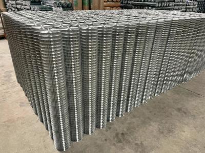China 304 Stainless Steel Welded Wire Mesh  Screen Grid Mesh Fence Breeding Chicken Protection Net Rolls for sale