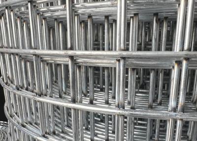 China 5x5 Welded Wire Mesh For Bird Cage Rabbit Chicken Pet Cage for sale