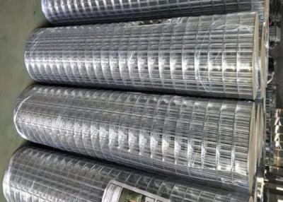 China Supply Stainless Steel Welded Wire Mesh Affordable For Buyers for sale