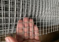 China 1/2 X 1/2 Galvanized Welded Wire Mesh With Hot Dipped Galvanized Protection for sale